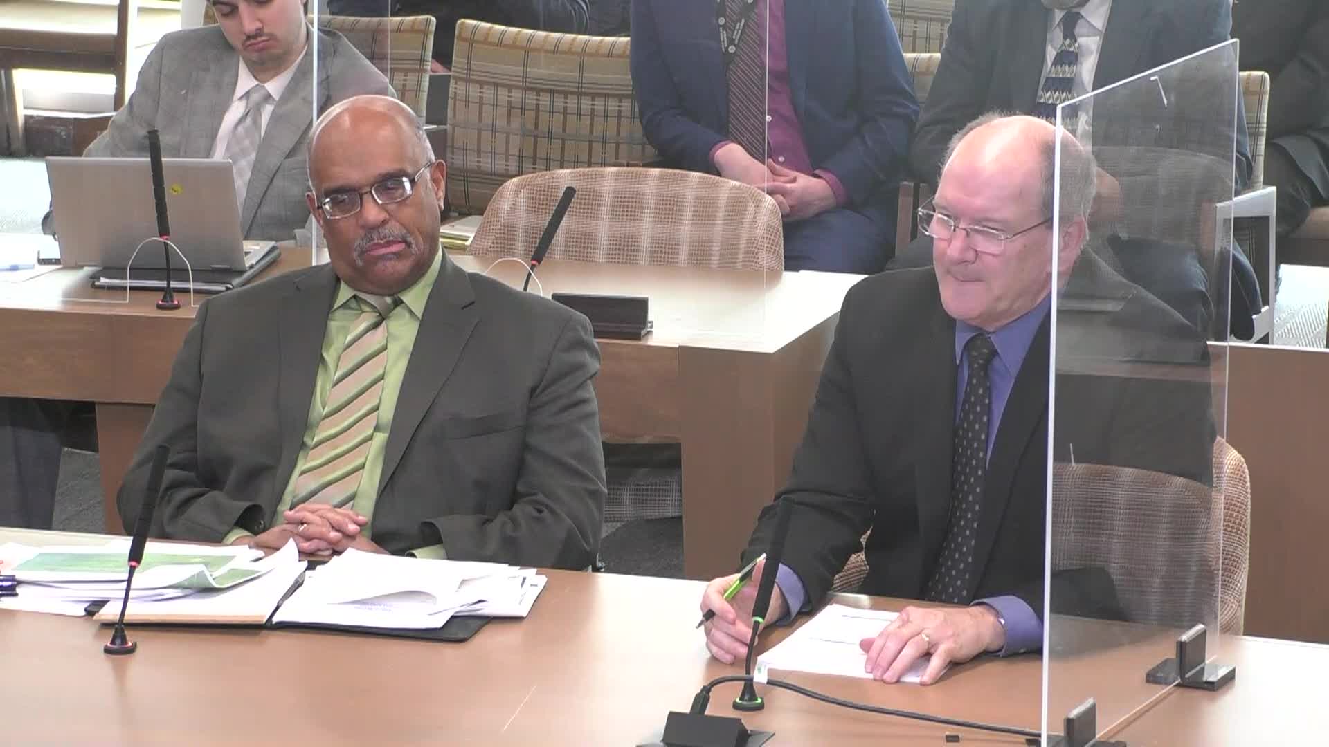 Detroit City Council Planning and Economic Development 02-06-2025